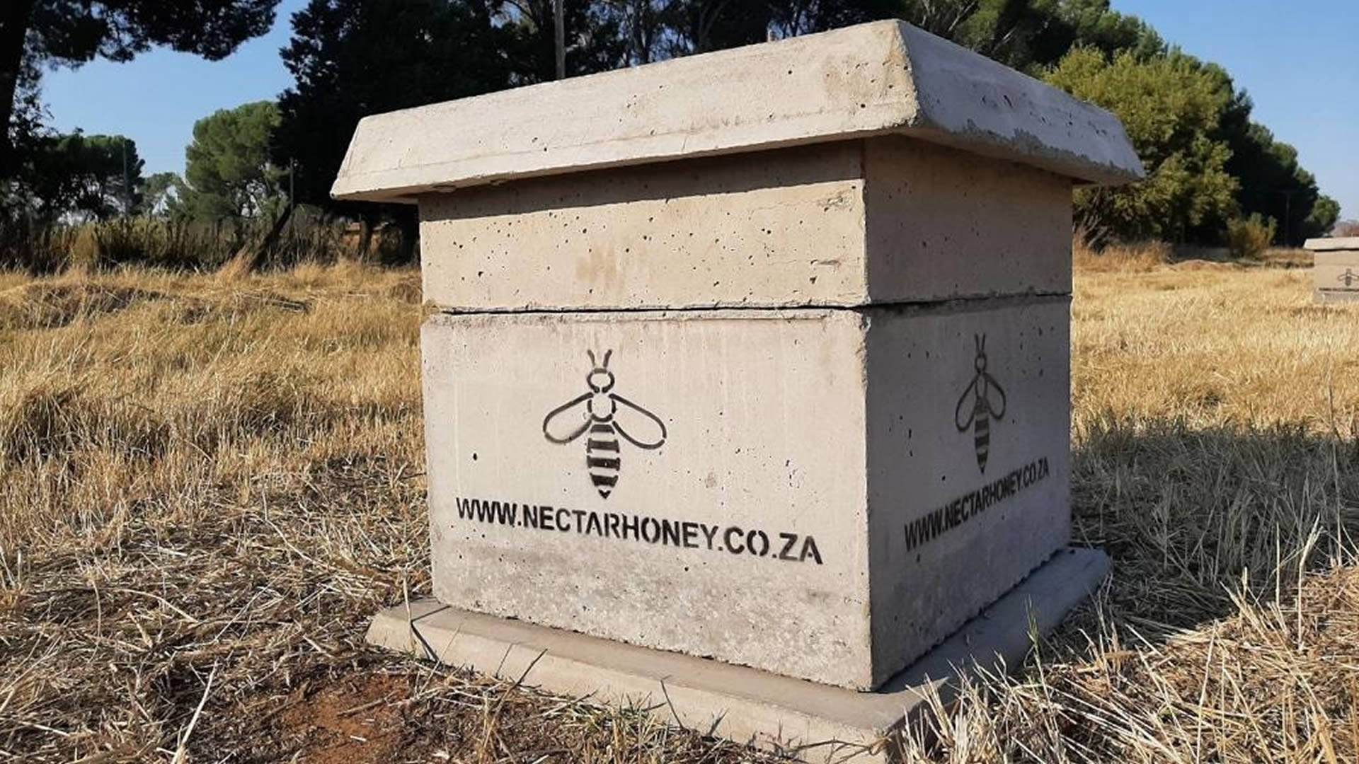 bee repopulation - Bee Repopulation Project